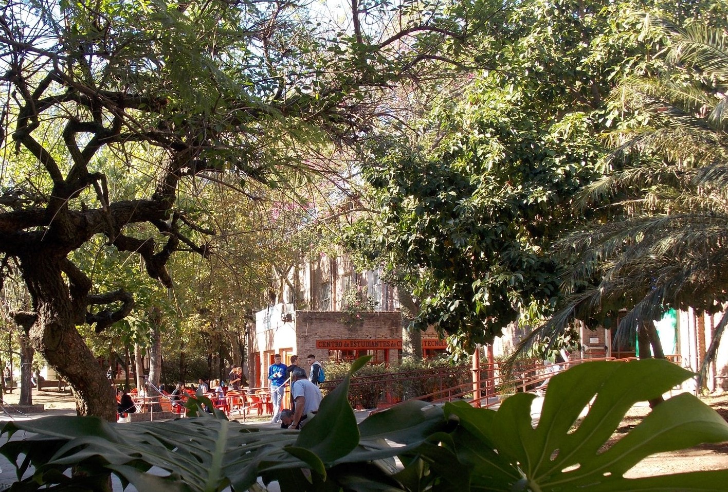 Becas de Formación en la Investigación para Estudiantes en etapa final ...